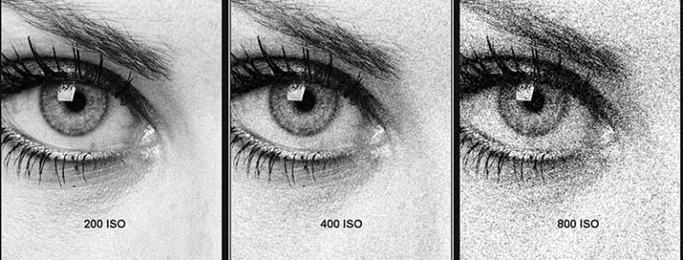 How Does A Film Camera Work? | Dusty Grain